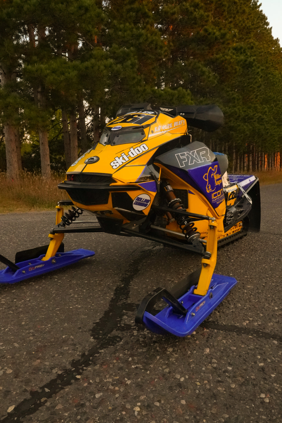 Snowmobile Graphics – Rolling Designs MX